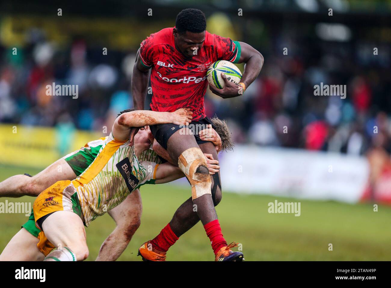 Samurai barracuda hi-res stock photography and images - Alamy