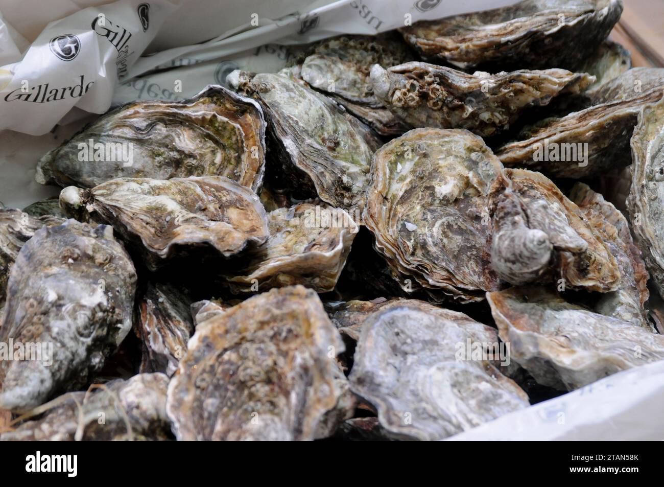 Copenhagen, Denmark /18 november 2023/Oysters marekets with Sea food or ...