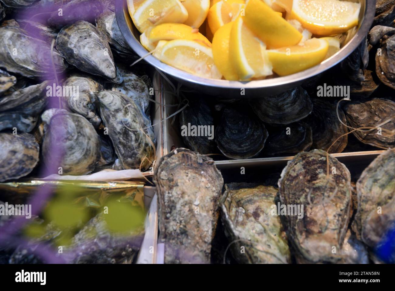Copenhagen, Denmark /27 November 2023/Oysters marekets with Sea food or ...