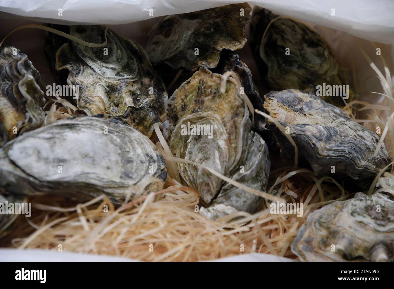 Copenhagen, Denmark /27 November 2023/Oysters marekets with Sea food or ...