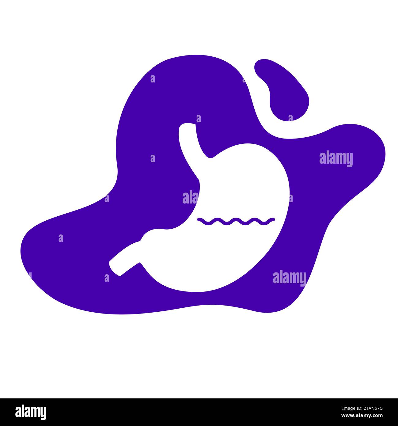 Stomach human internal organ Cut Out Stock Images & Pictures - Alamy