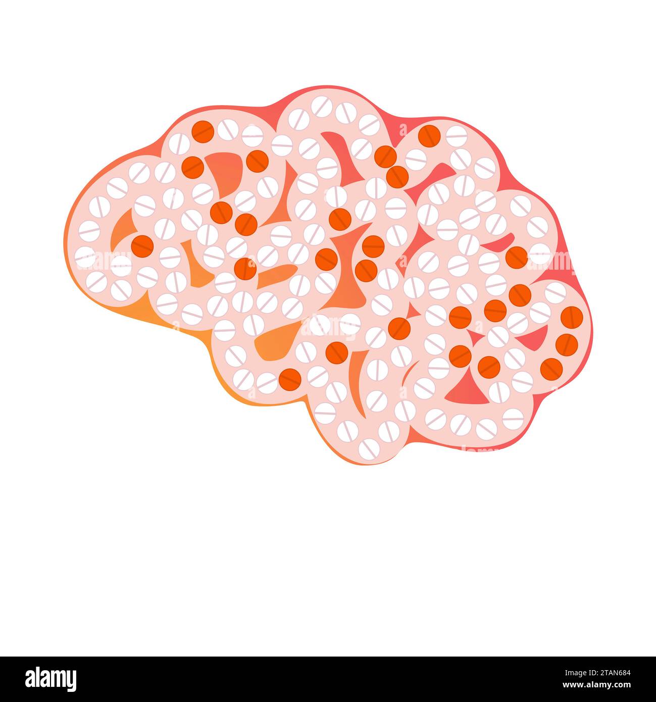 Multiple sclerosis hi-res stock photography and images - Alamy