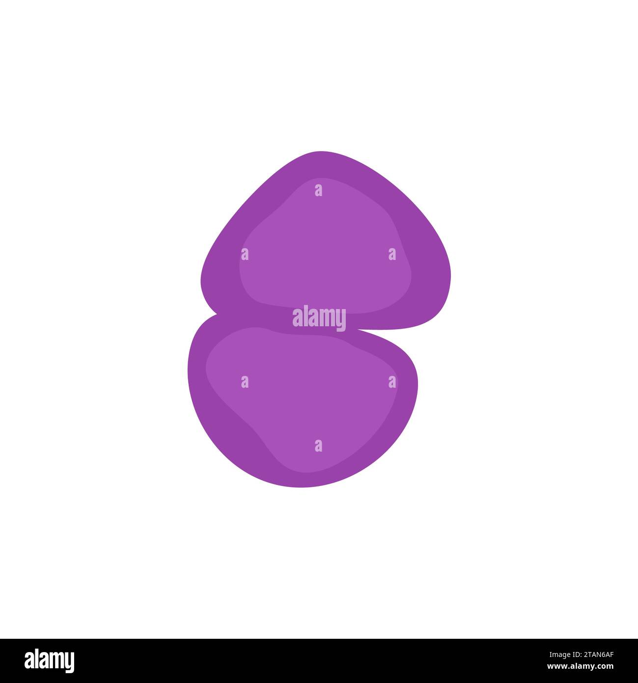 Streptococcus bacteria, conceptual illustration Stock Photo - Alamy
