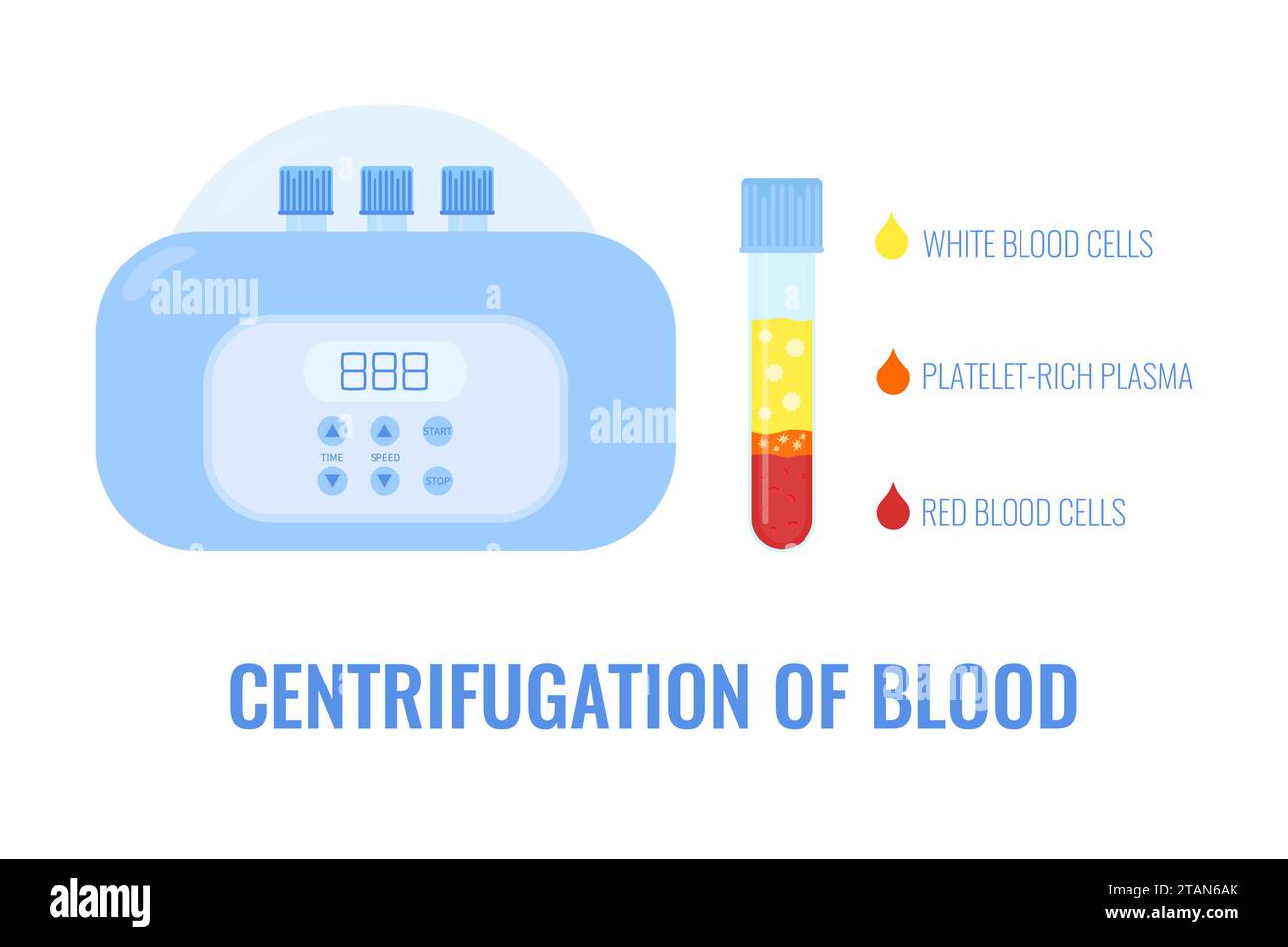 Blood plasma, conceptual illustration Stock Photo - Alamy