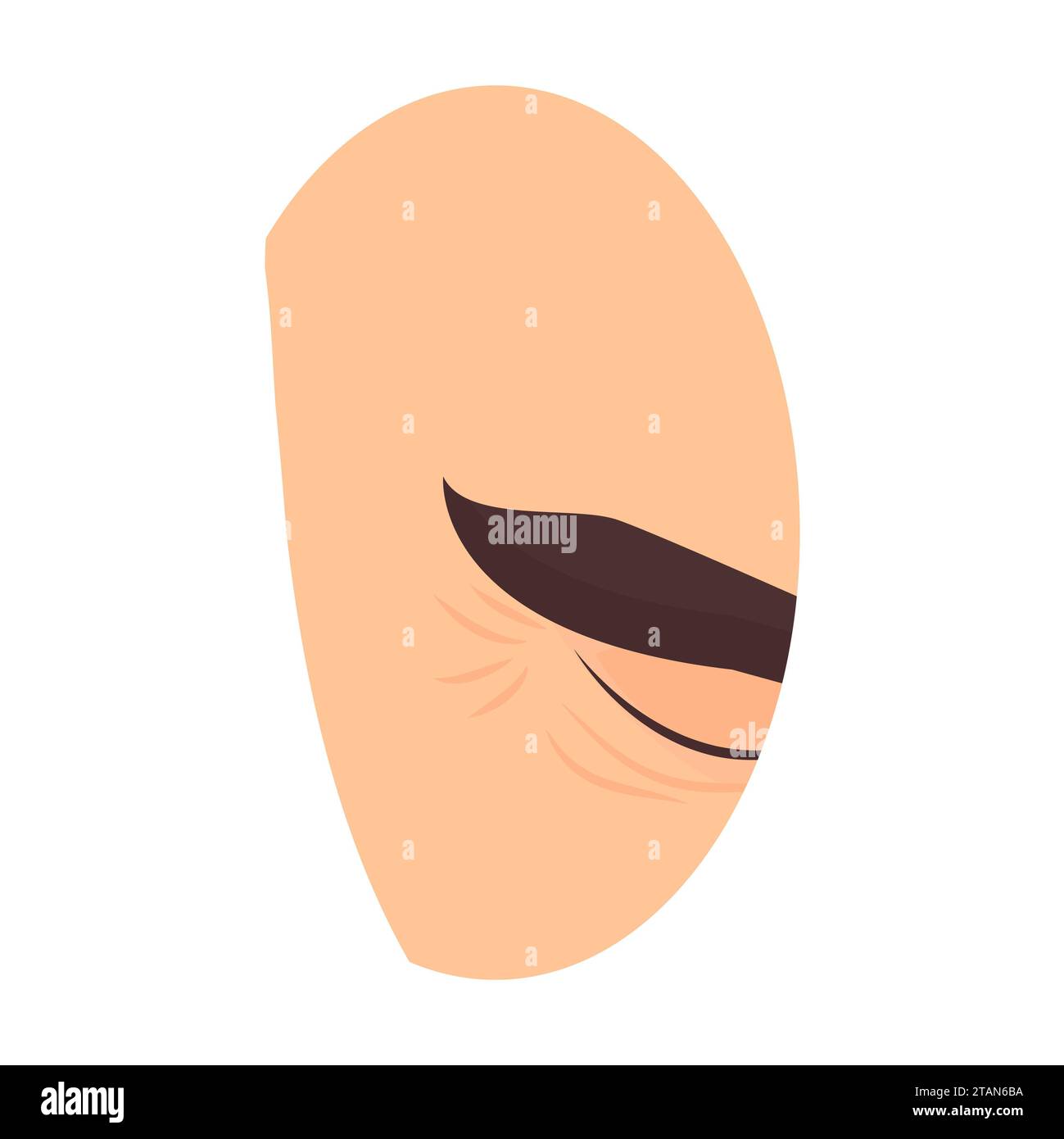 Aging male skin, illustration Stock Photo - Alamy