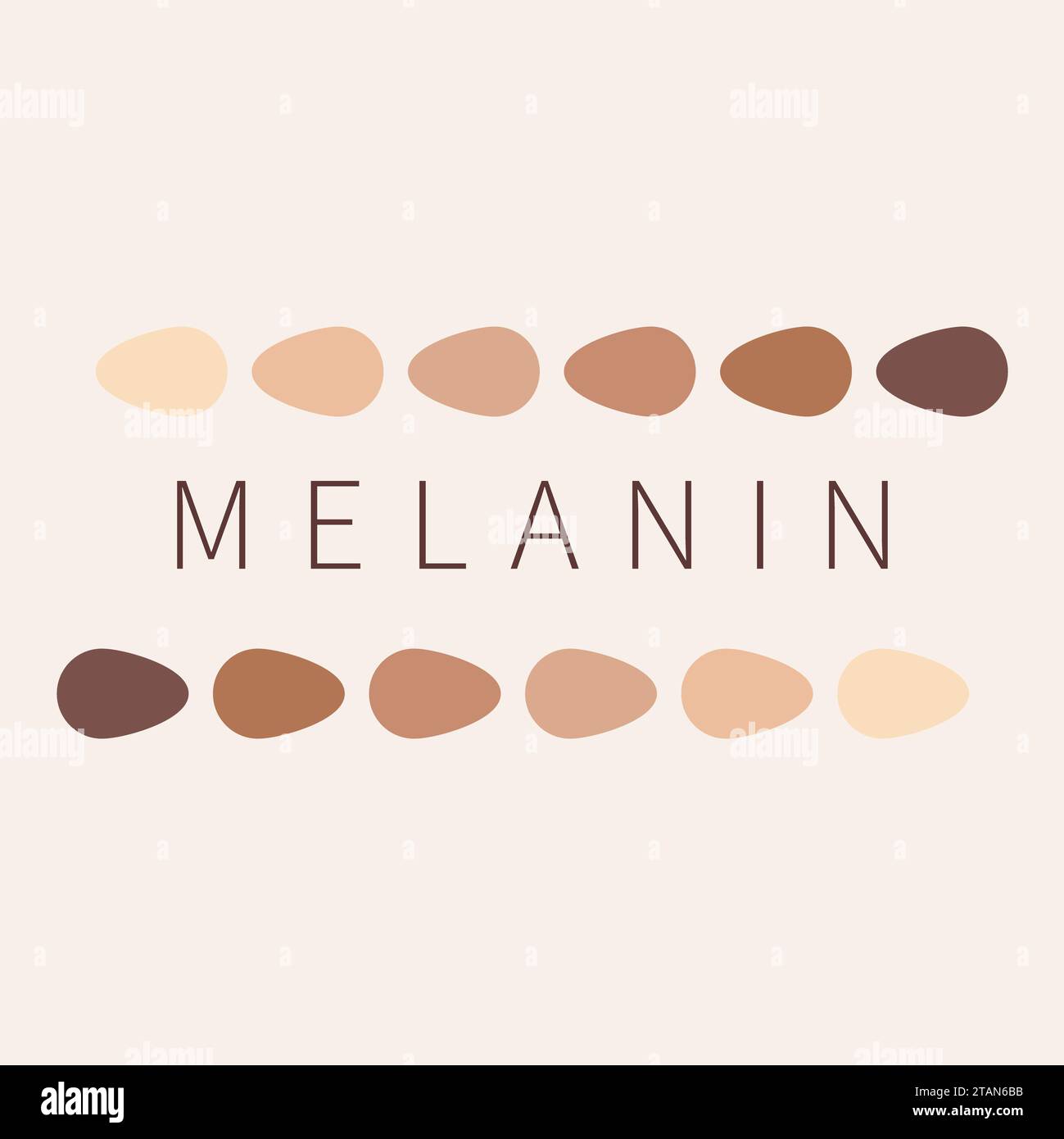 Skin tone scale hi-res stock photography and images - Alamy
