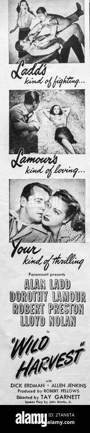 Wild Harvest 1947 ‧ Drama/Drama , Director: Tay Garnett, starring Alan ...