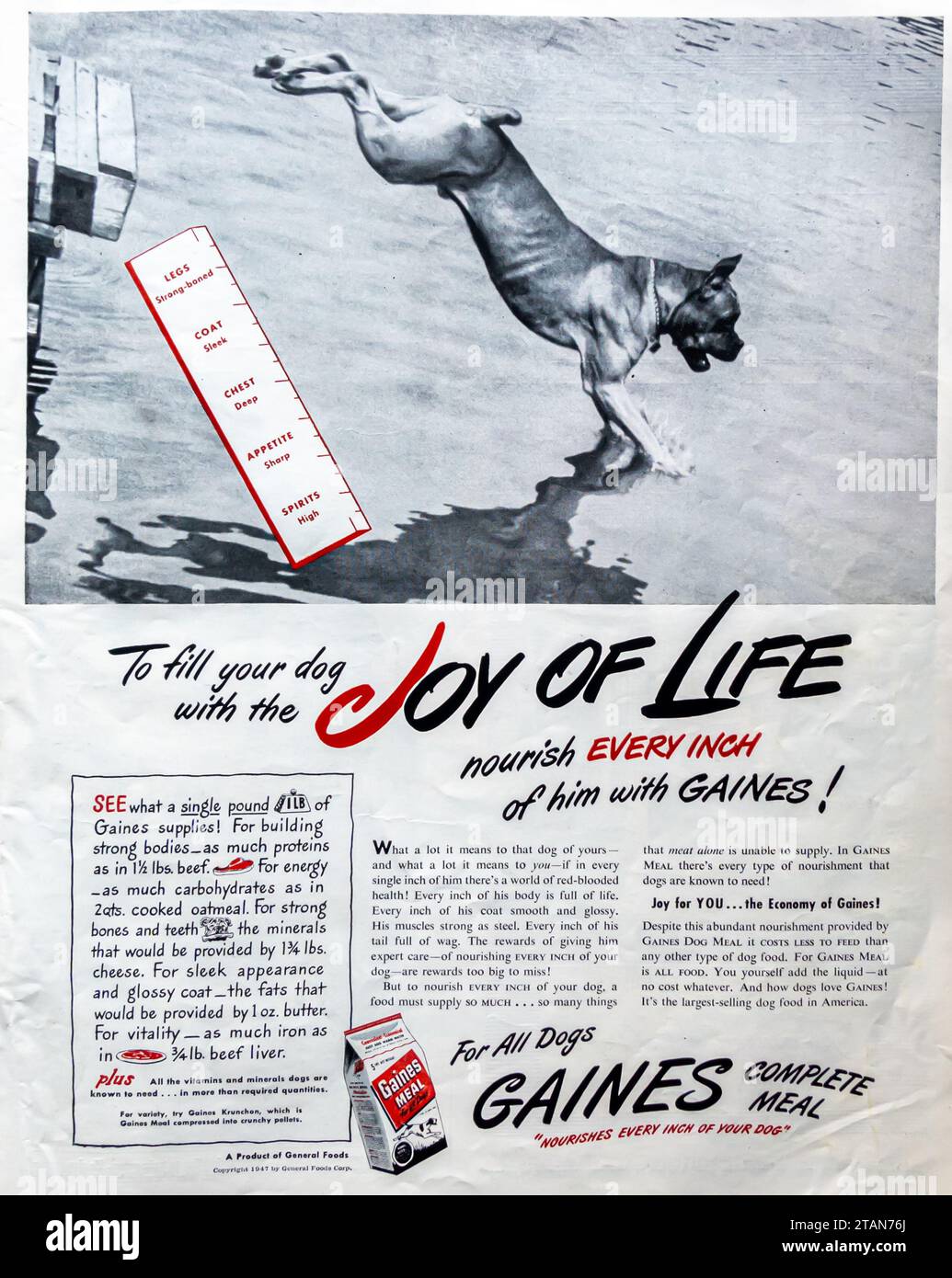 Commercial dogs food hi-res stock photography and images - Alamy