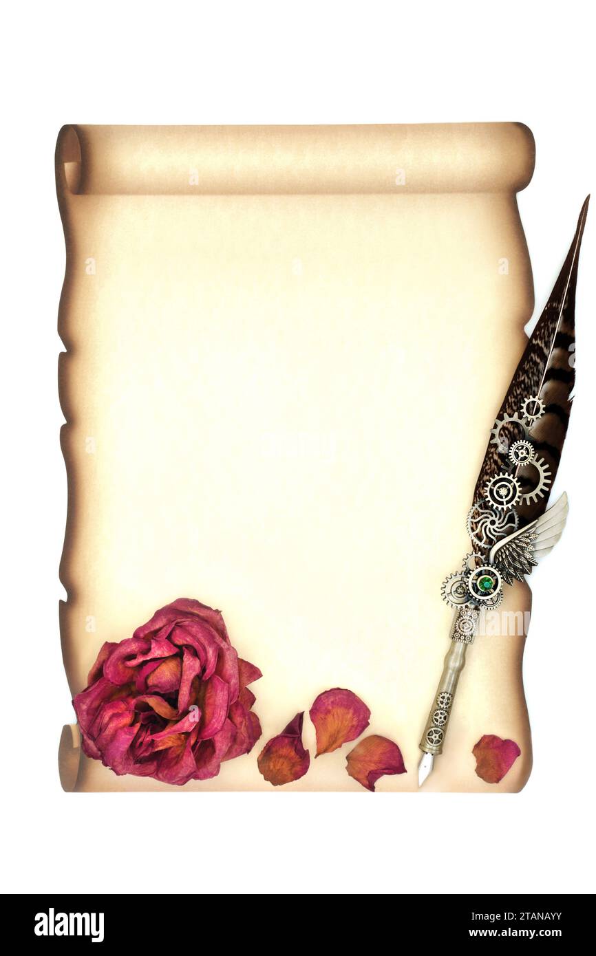 Parchment paper scroll with dried rose petals and feather quill pen ...