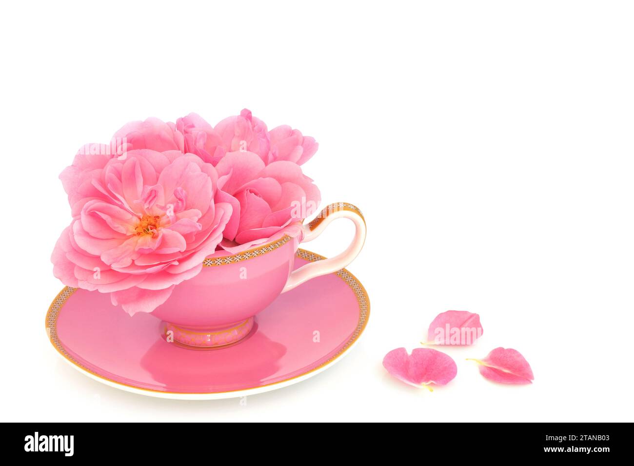 Pink roses in white china vase hi-res stock photography and images - Alamy