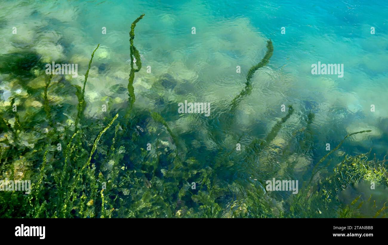 Slowly flowing clear water river hi-res stock photography and images ...