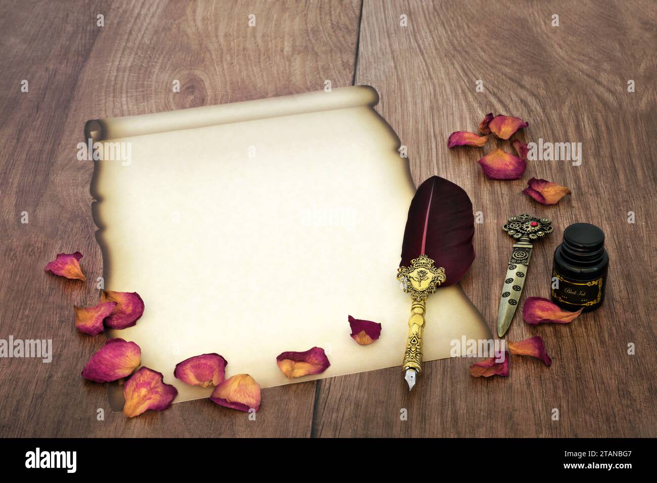 Parchment paper scroll with dried red rose petals and old feather quill ...
