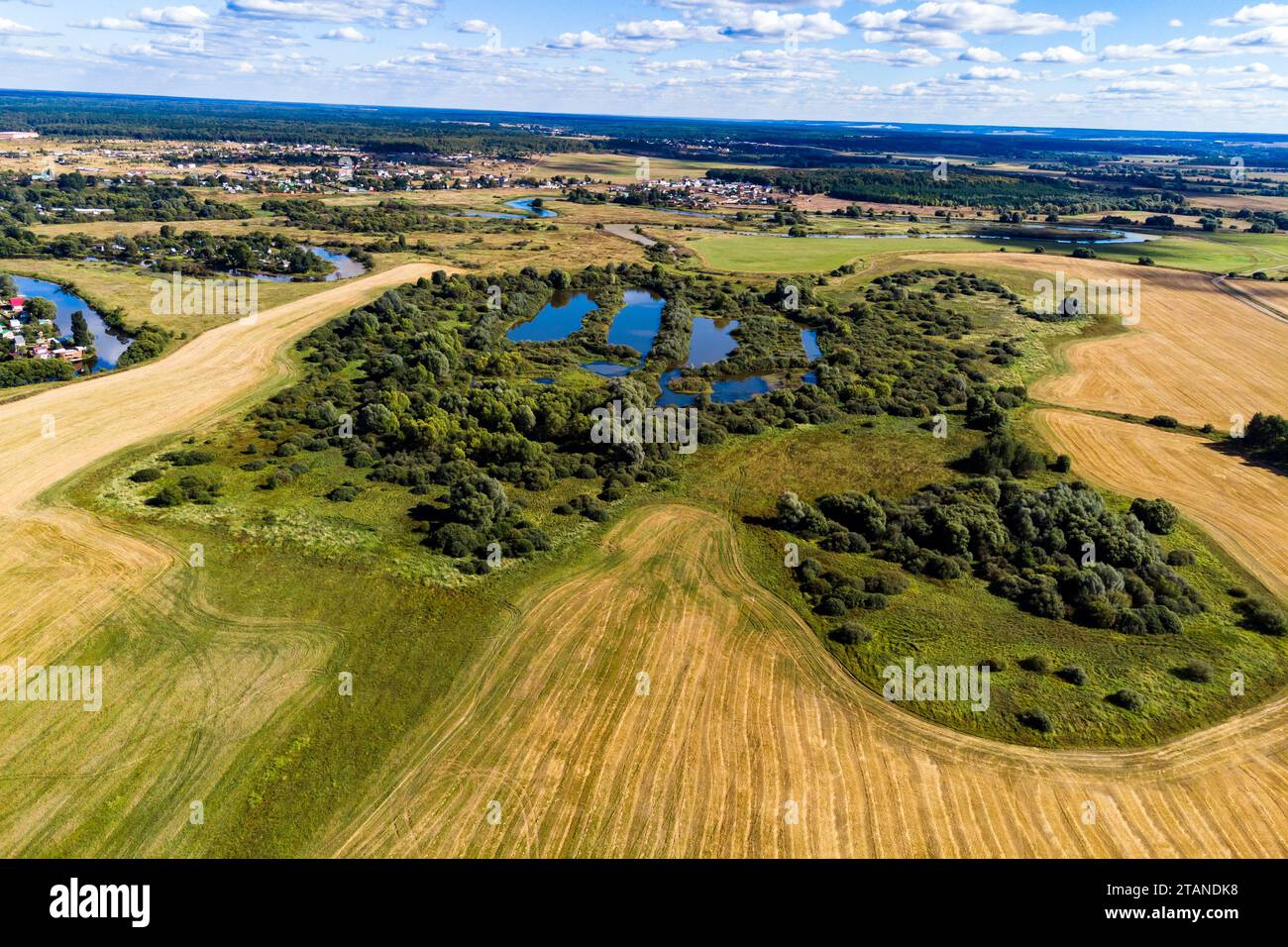 Swampy field hi-res stock photography and images - Alamy