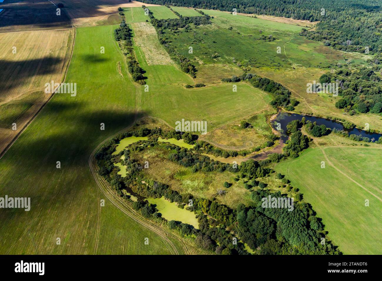 Green landscape from a high altitude with an oxbow river in the middle ...