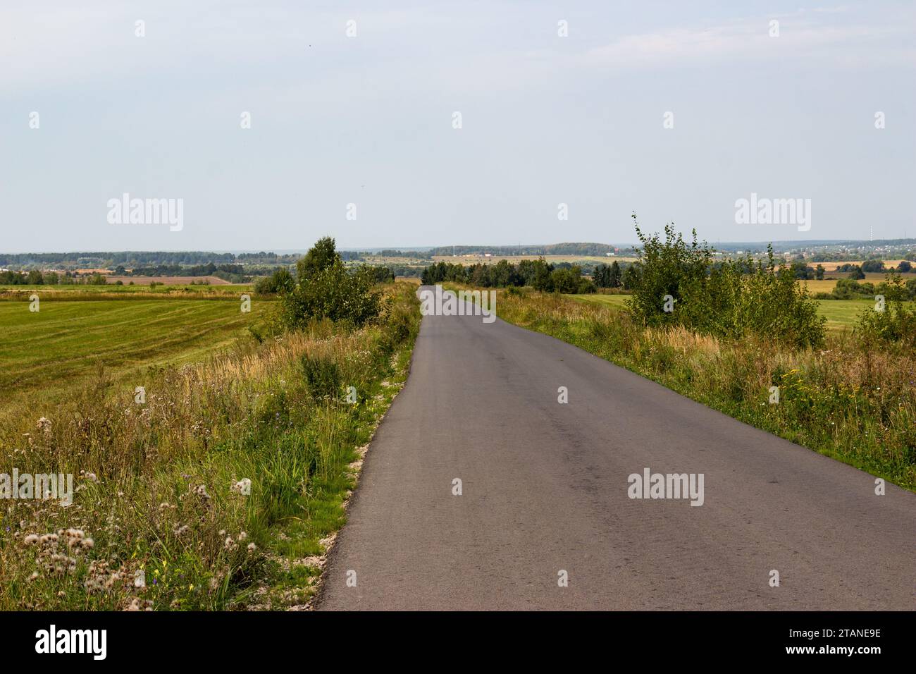Asphalt country road stretching into the distance in the countryside ...