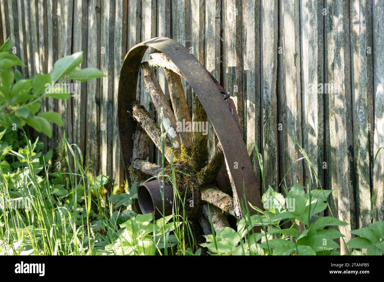 an old wheel of a horse-drawn carriage leaning against a boarded wall ...