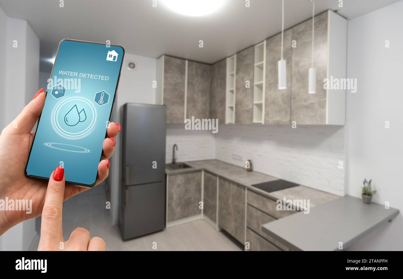 Water leak sensor alert, smart water sensor can automatically shut off ...