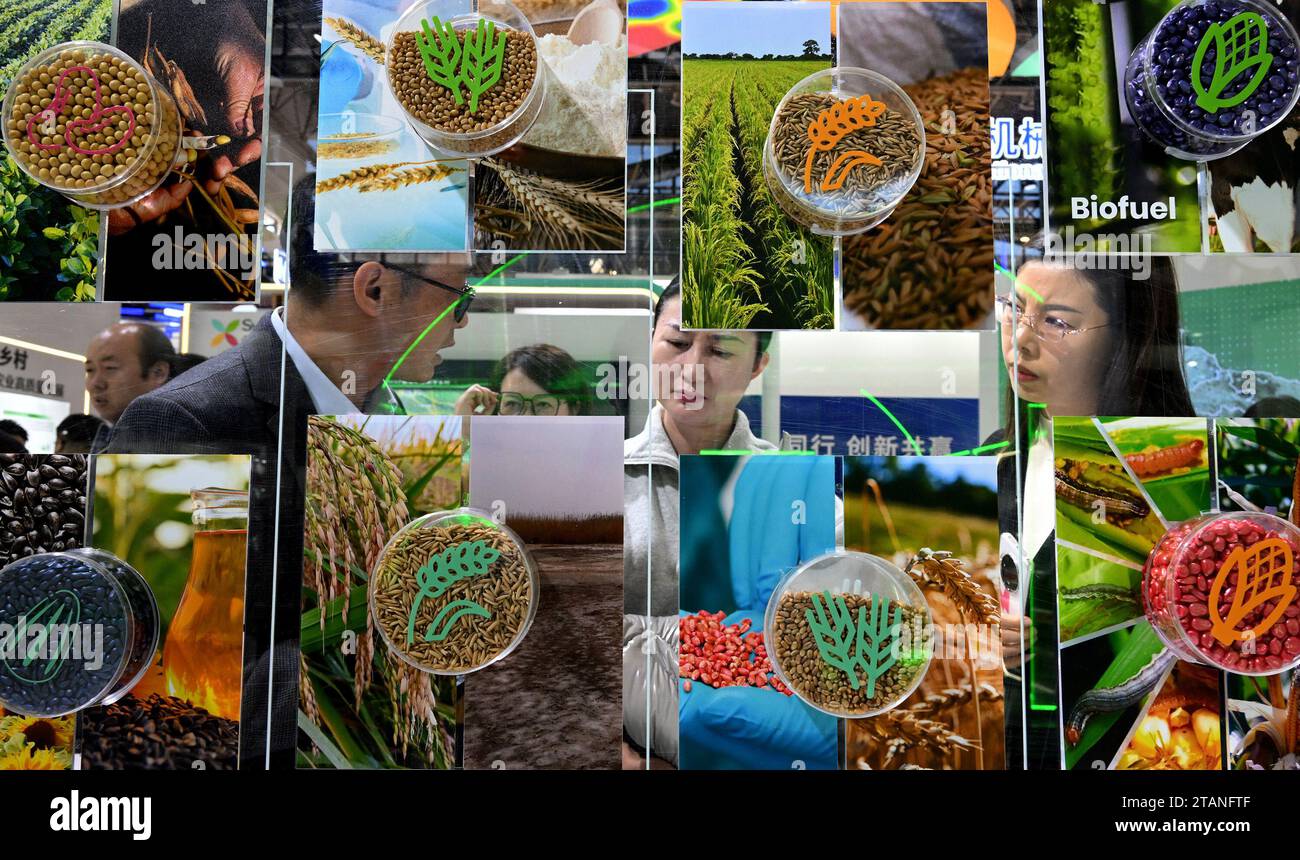 Syngenta group china hi-res stock photography and images - Alamy
