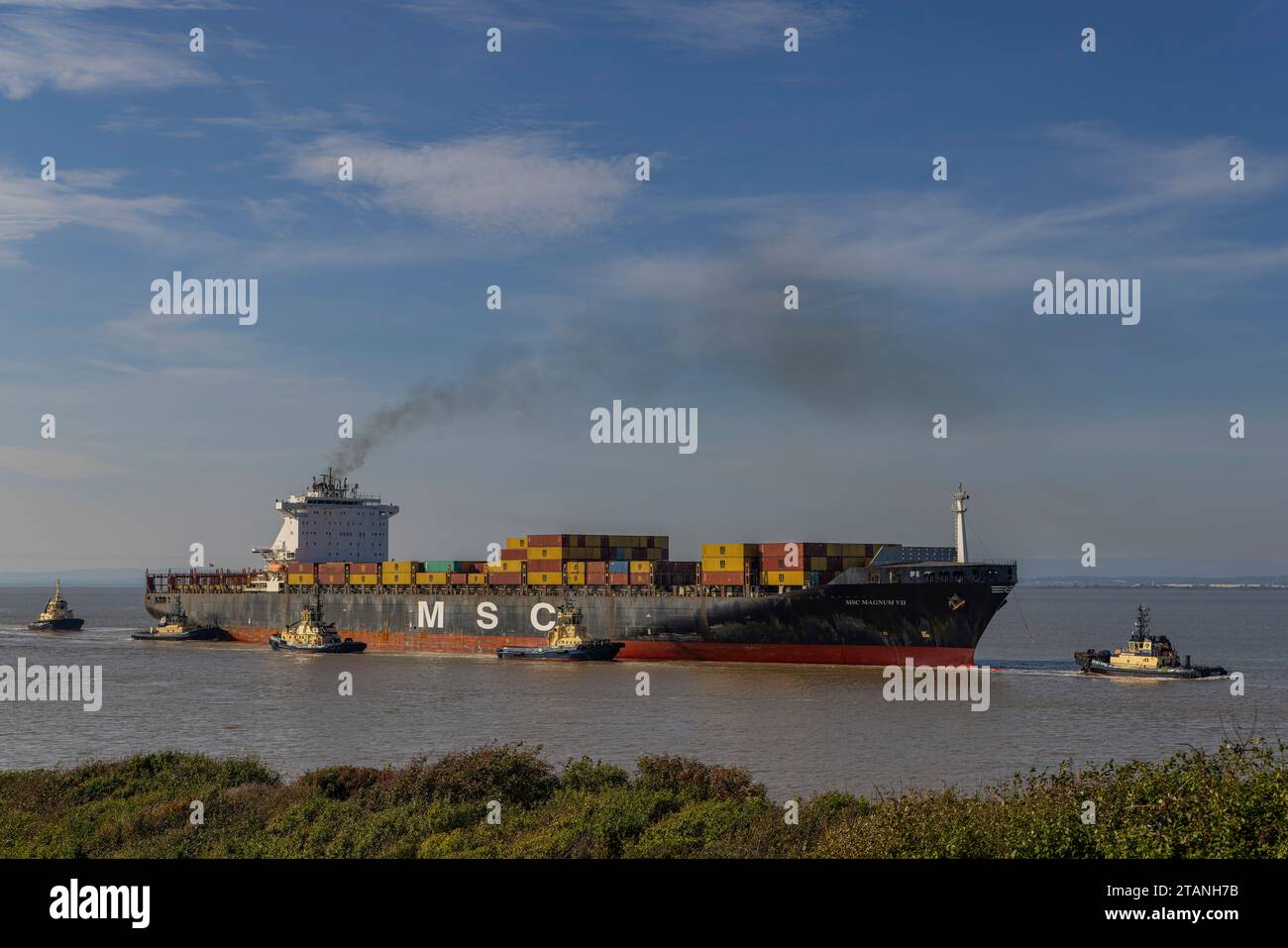 Container vessel MSC Magnum VII surrounded by tugs and heading for ...