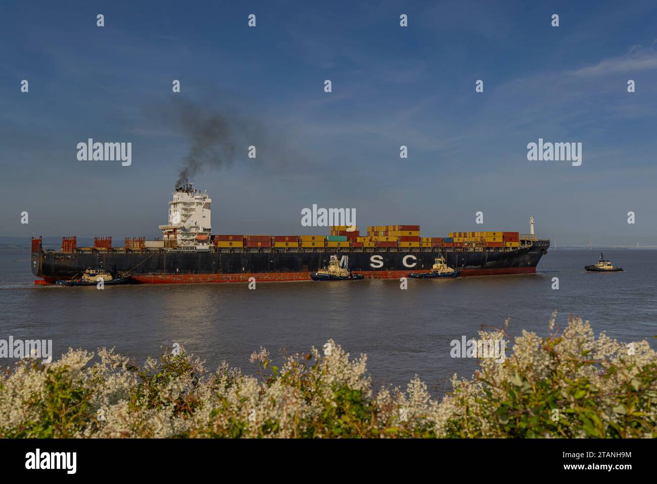 Container ship msc containers underway hi-res stock photography and ...