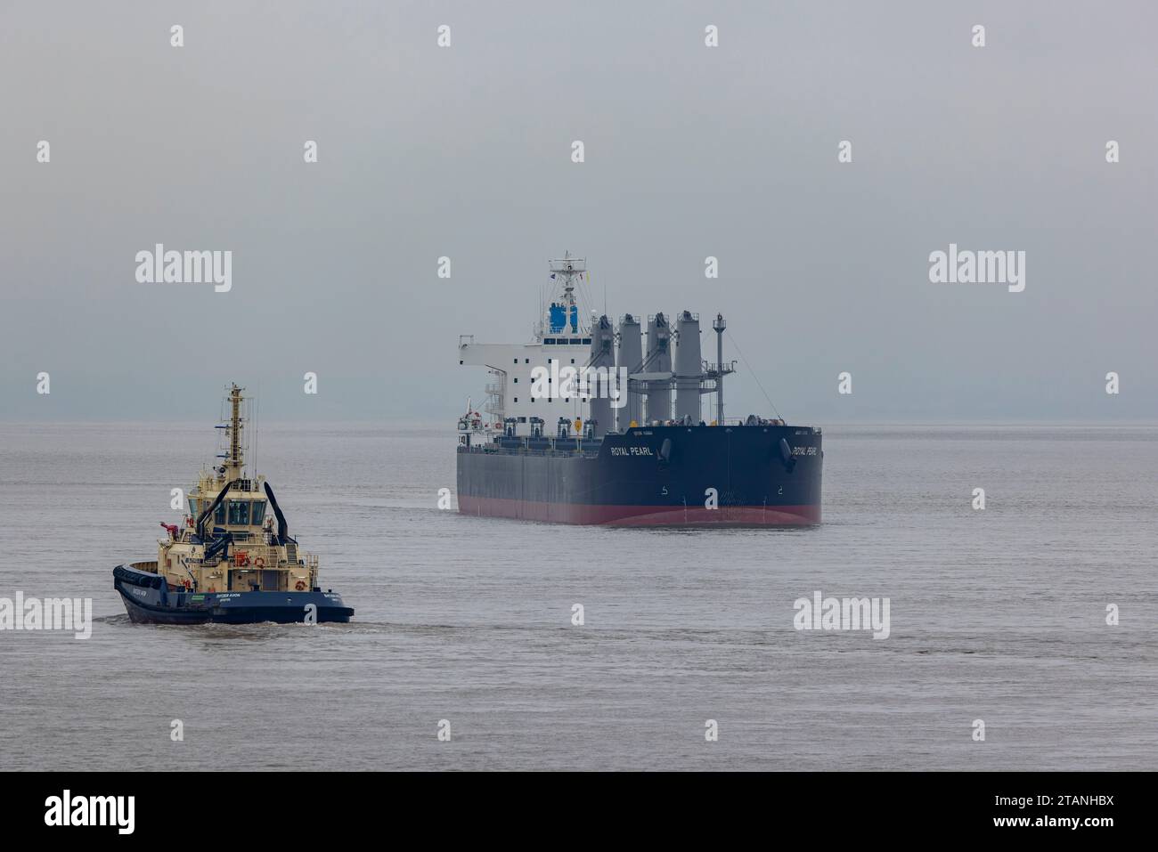 Bulk carrier Royal Pearl heading for port Stock Photo - Alamy Bulk carrier Royal Pearl heading for port Stock Photo - Alamy