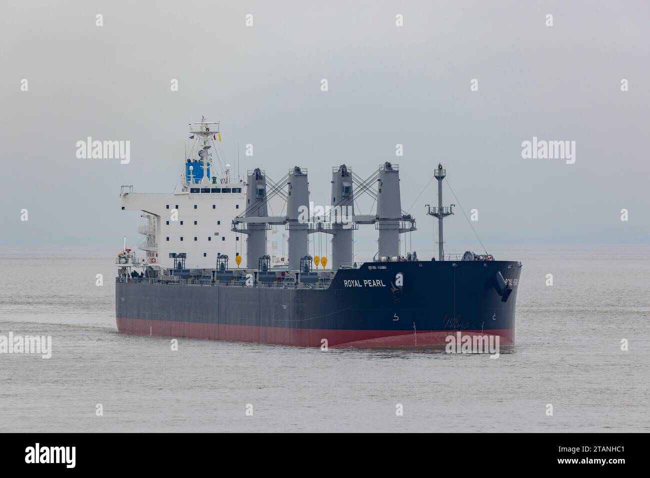 Bulk carrier Royal Pearl heading for port Stock Photo - Alamy Bulk carrier Royal Pearl heading for port Stock Photo - Alamy