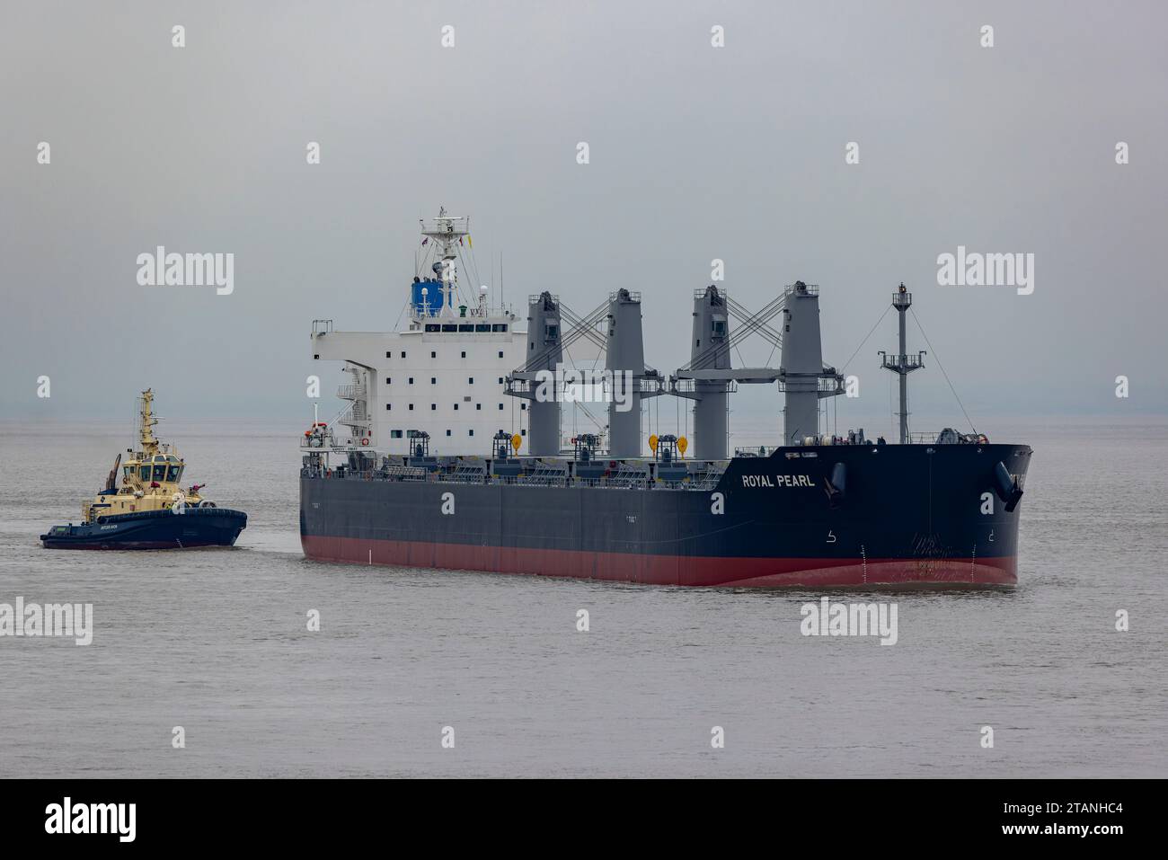 Bulk carrier Royal Pearl heading for port Stock Photo - Alamy Bulk carrier Royal Pearl heading for port Stock Photo - Alamy
