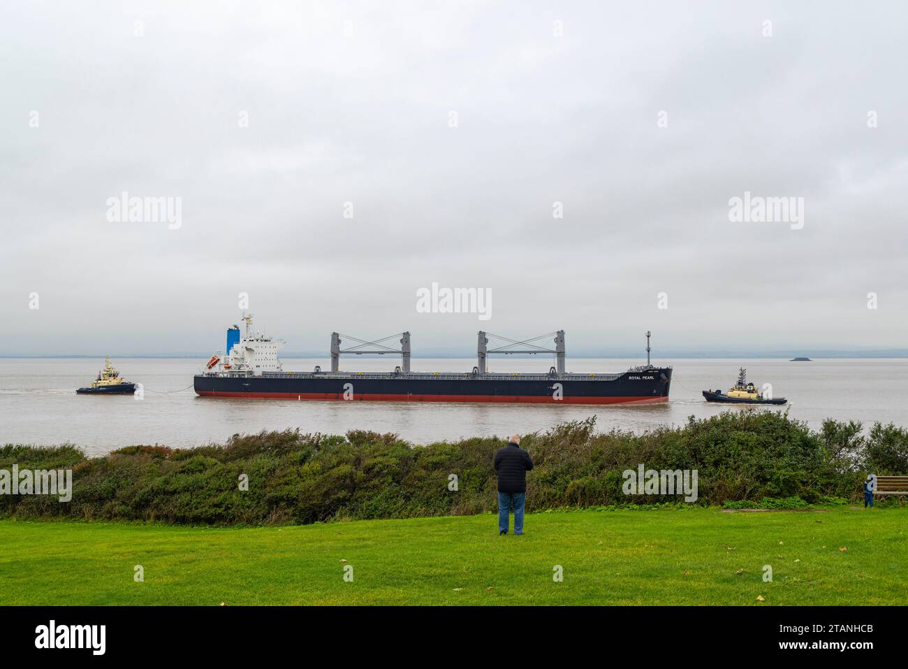 Bulk carrier Royal Pearl heading for port Stock Photo - Alamy Bulk carrier Royal Pearl heading for port Stock Photo - Alamy