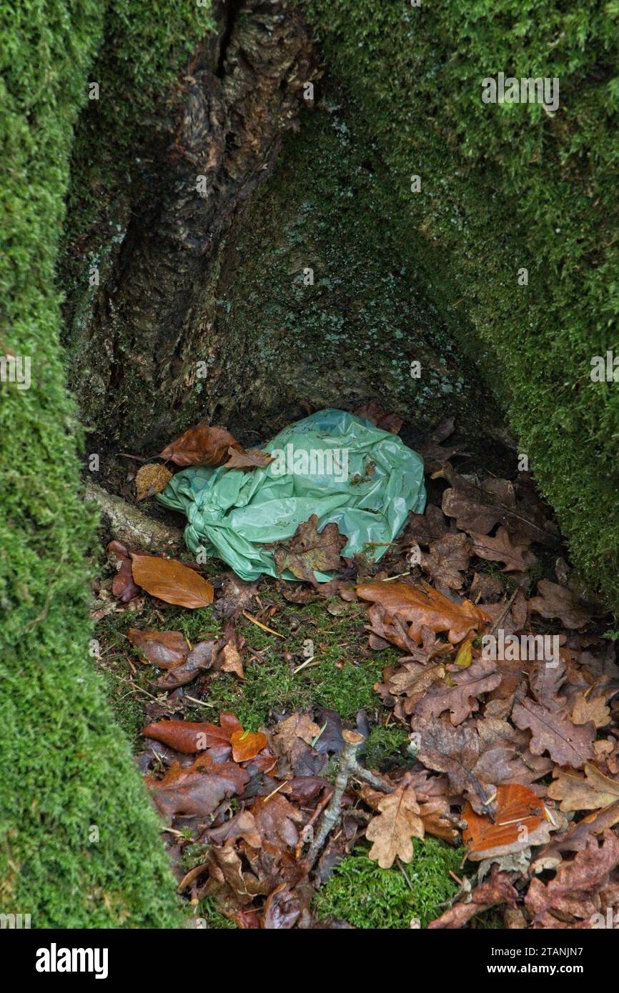 Bag roots hi-res stock photography and images - Alamy