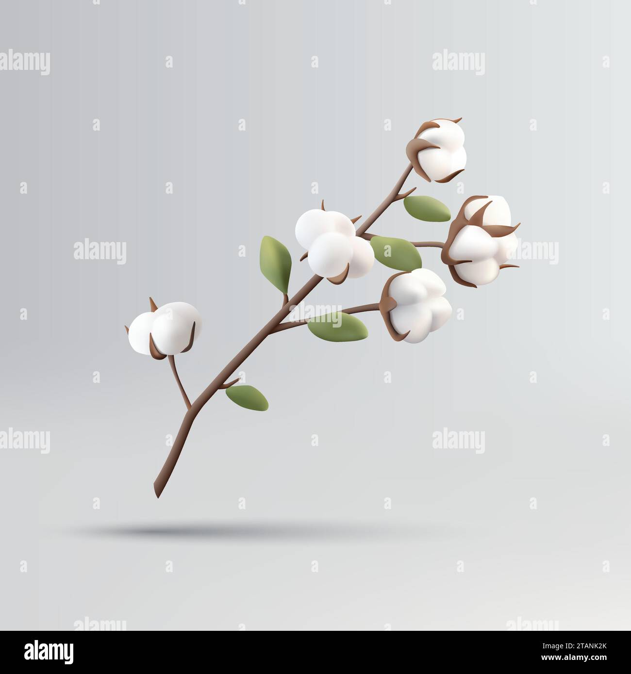 Cotton plant flower 3d render illustration with blossom and leaves ...