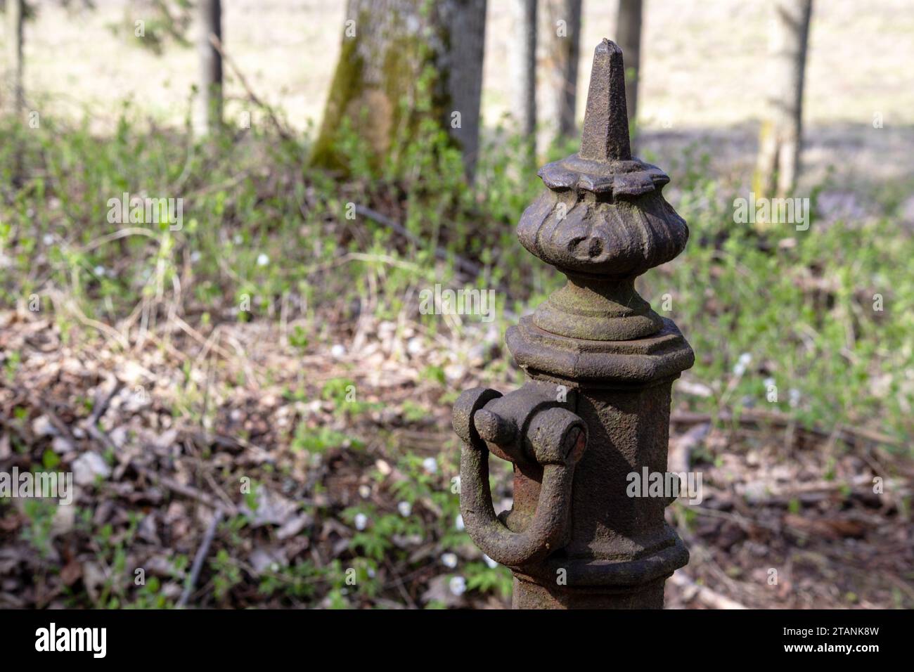 old metal fence post with forgings on it on grass background Stock ...