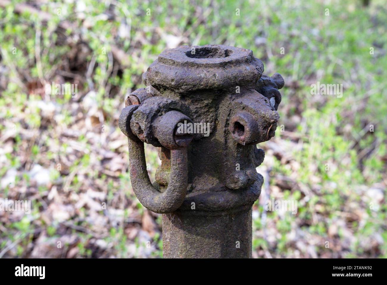 old metal fence post with forgings on it on grass background Stock ...