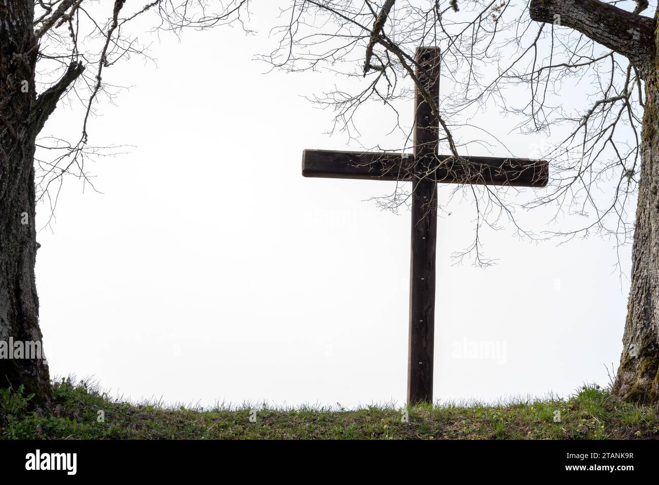 a wooden cross on a mountain on a light sky background between tree ...