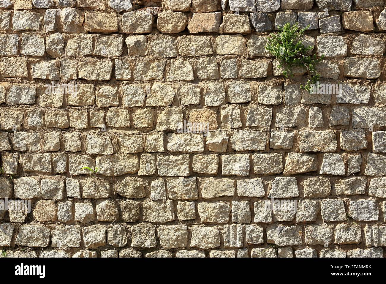 yellow beige natural stone wall of different sized stones, traditional ...