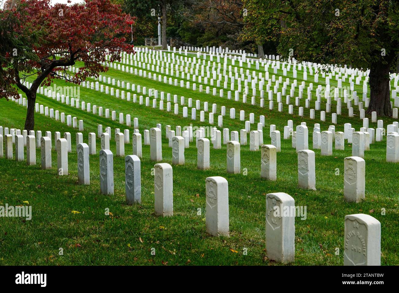 Us national cemeteries hi-res stock photography and images - Alamy