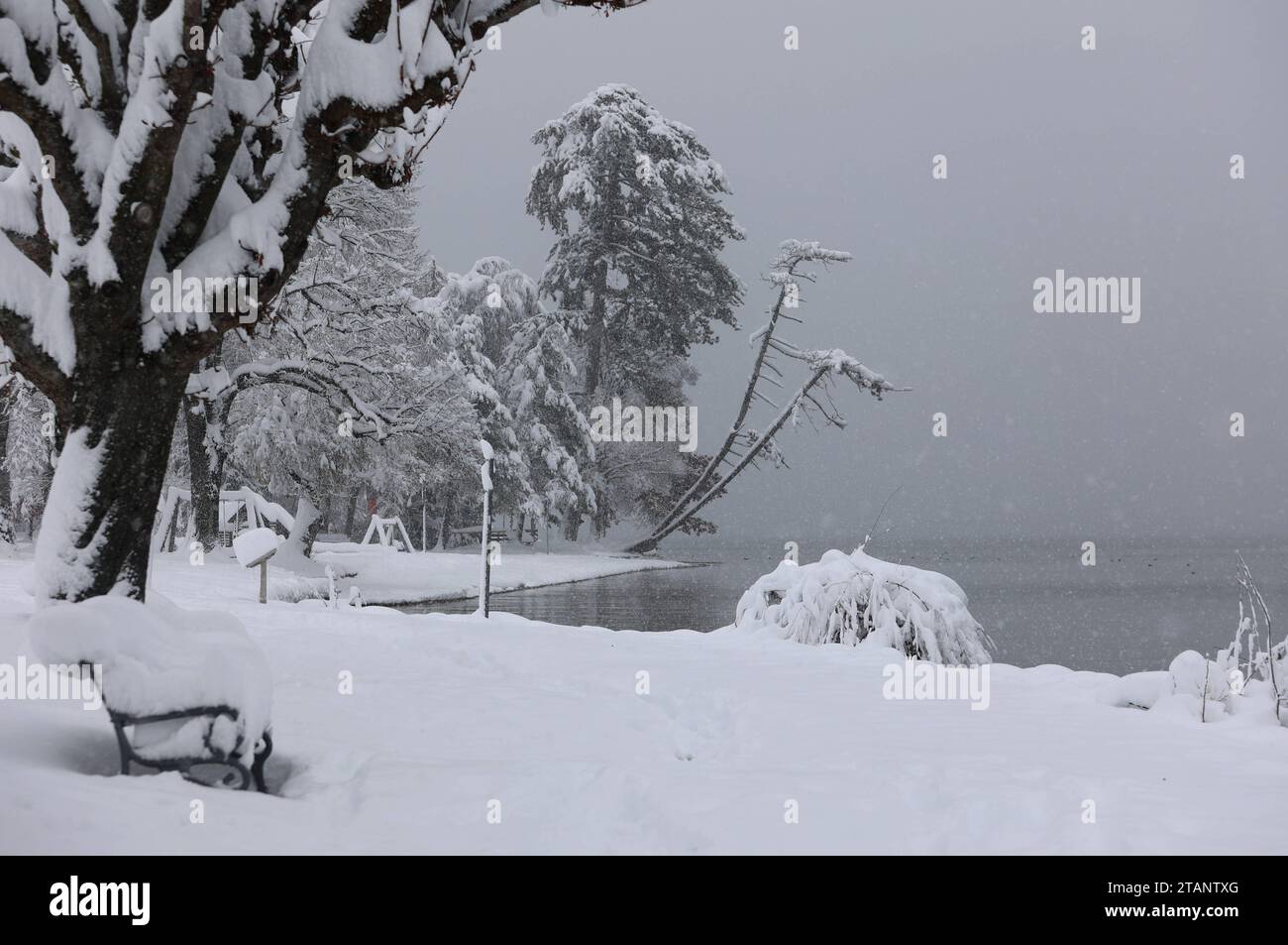 Tutzing, Bayern, Deutschland 02. Dezember 2023: Eine Wintertag in ...