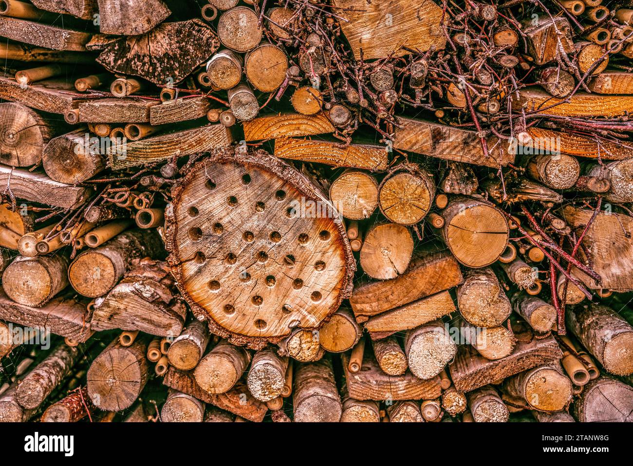 Large man made insect hotel in public gardens Stock Photo - Alamy