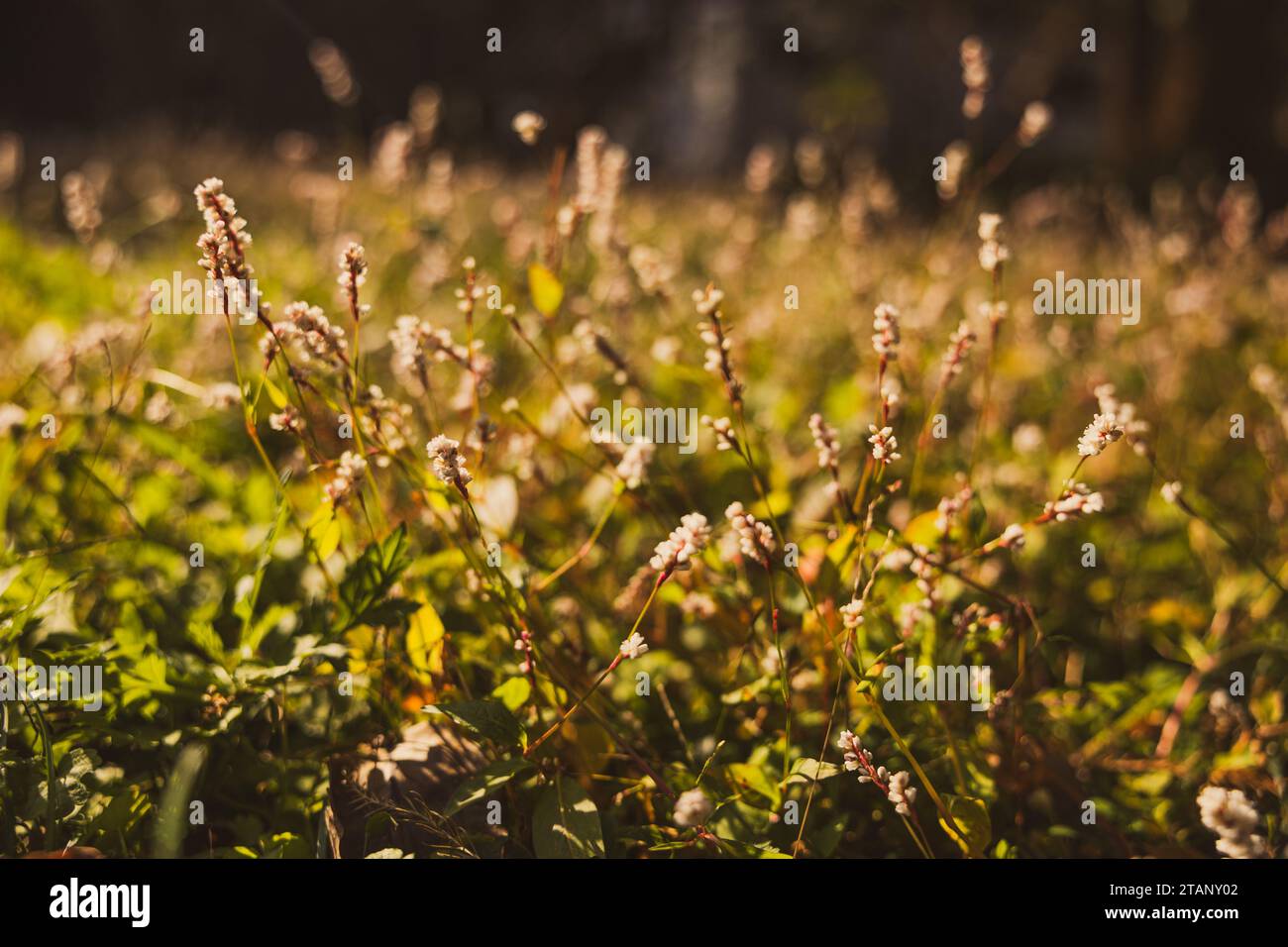 Environmental shots hi-res stock photography and images - Alamy