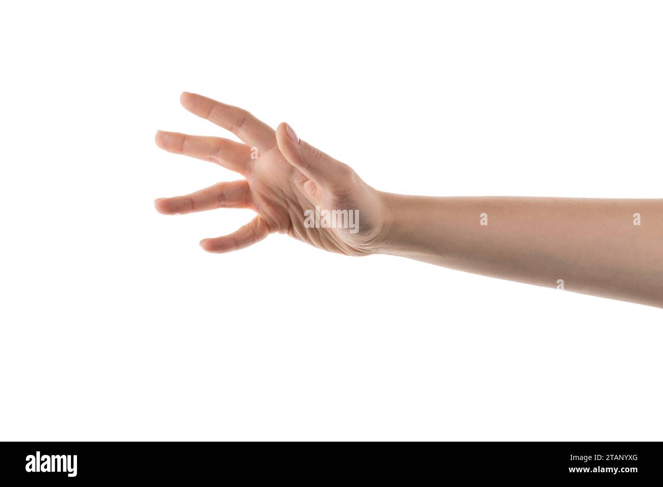 Young woman hand reaching isolated on white background, high detailed ...