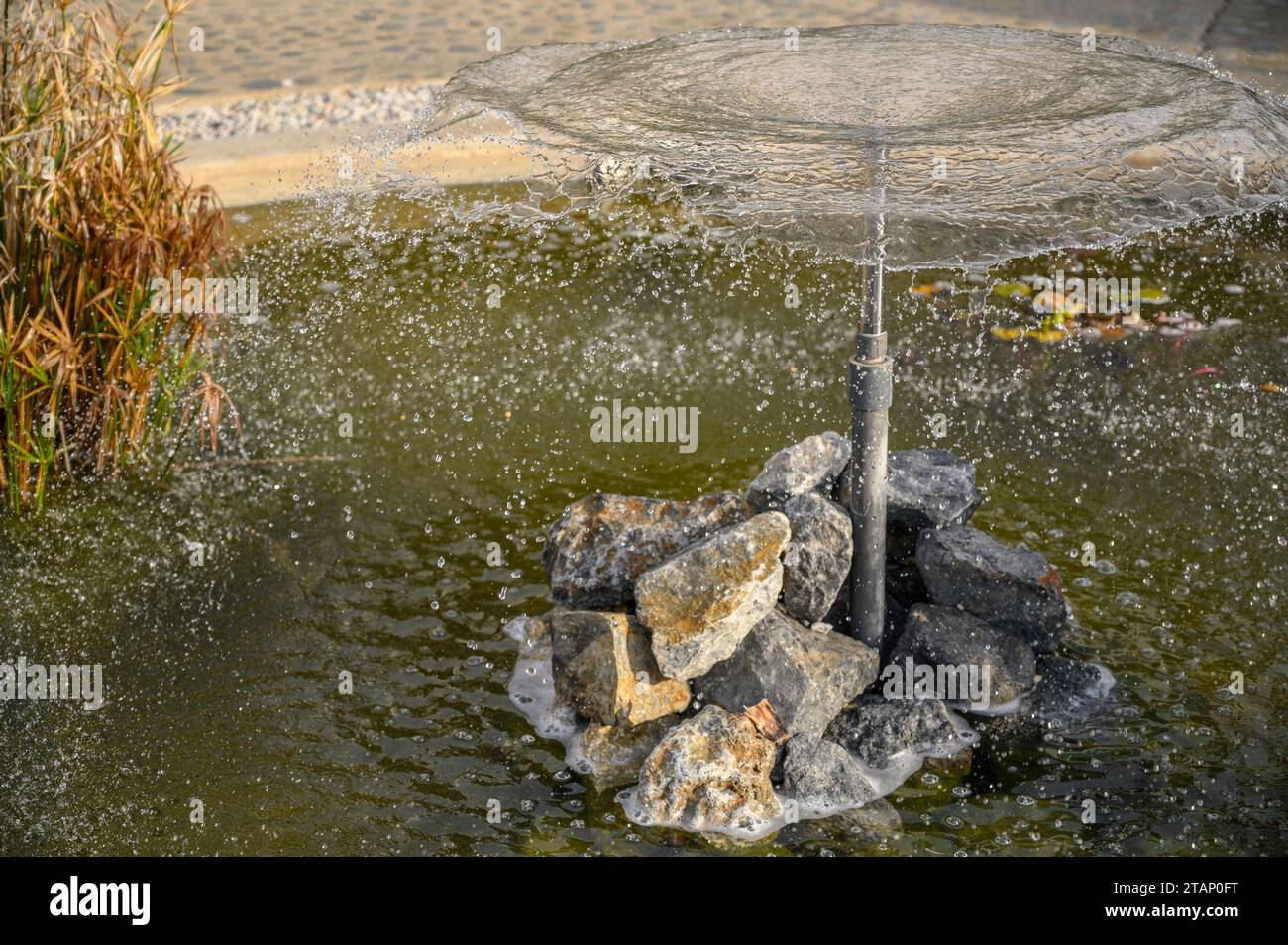 circle of water from a fountain spraying water 9 Stock Photo - Alamy