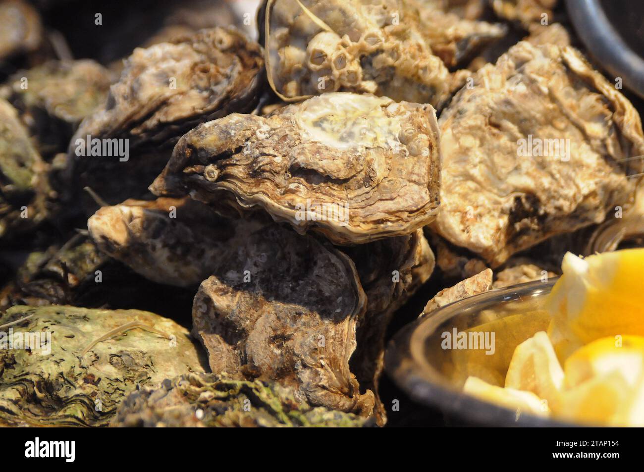 Copenhagen, Denmark /02 December 2023/Oysters Sea food or fish shops in ...