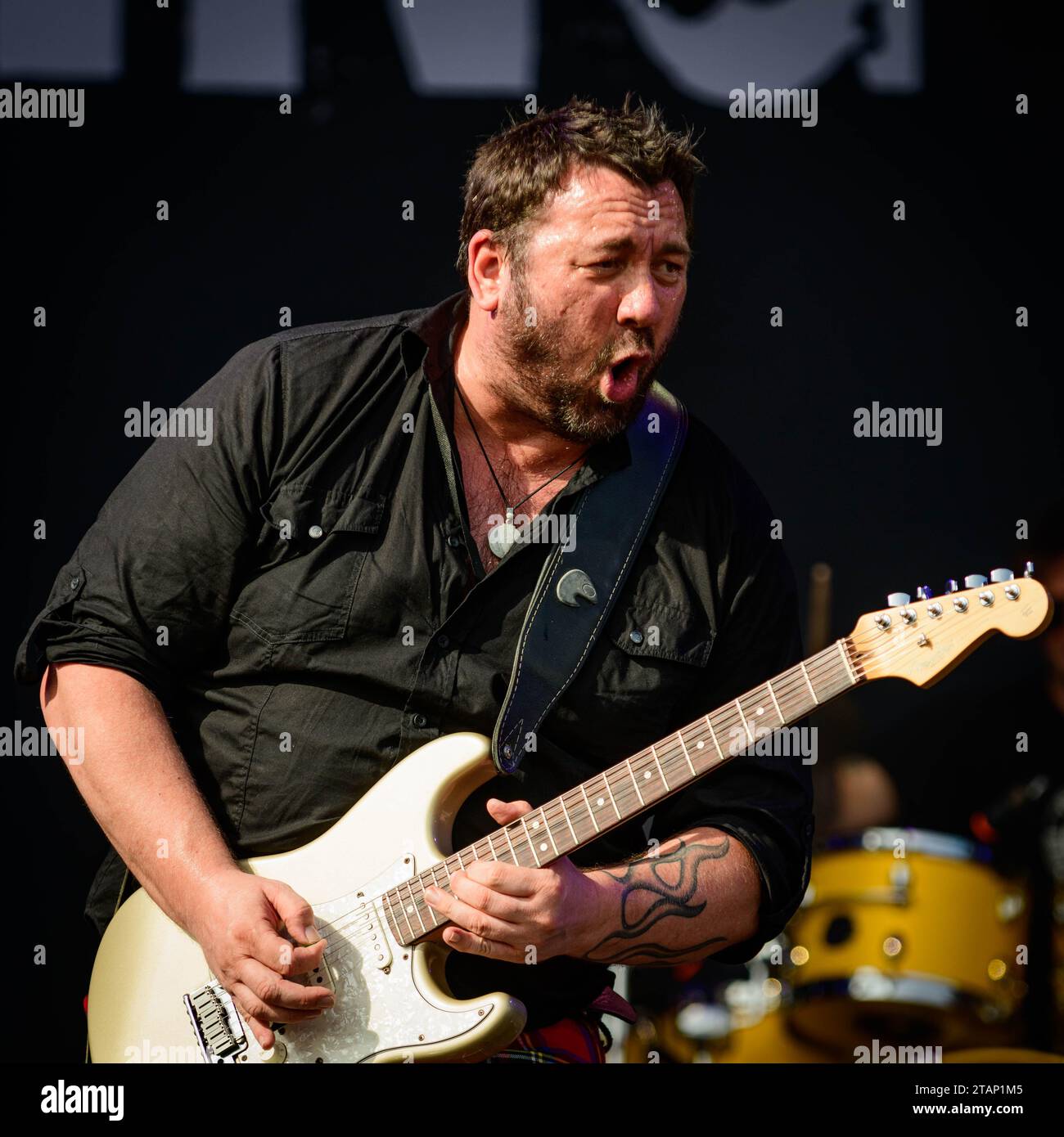 PICTURED: Alan Nimmo - King King Credit: Mark Dunn Photography Stock ...