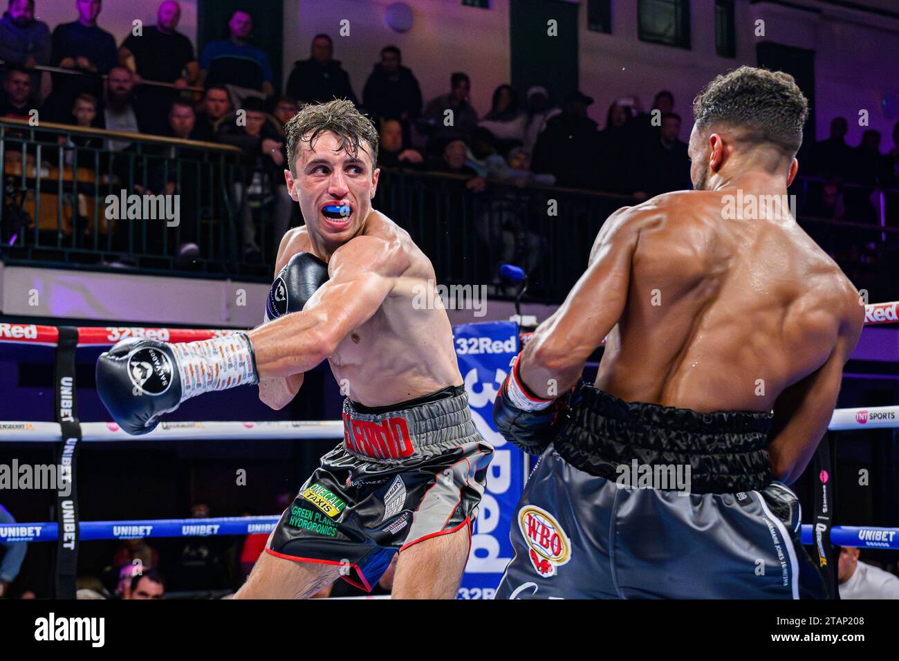Brad strand boxing hi-res stock photography and images - Alamy