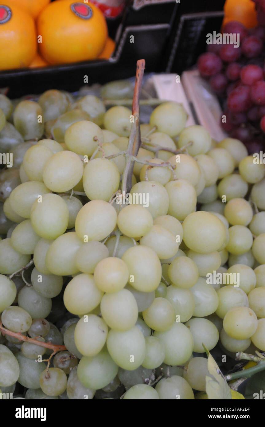 Copenhagen, Denmark /02 December 2023/Red and green grapes display for ...