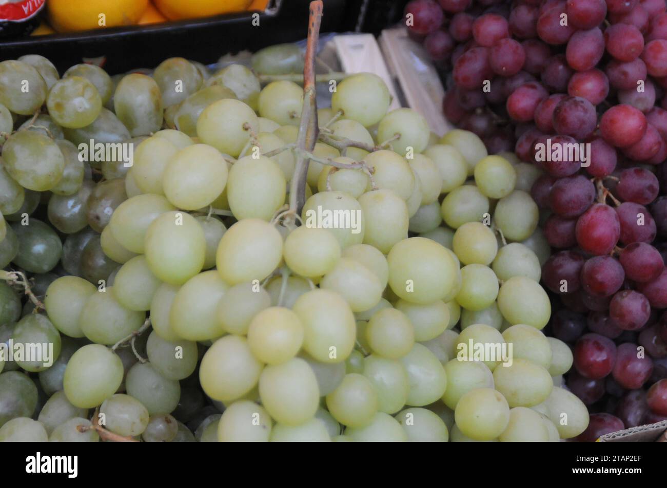 Copenhagen, Denmark /02 December 2023/Red and green grapes display for ...