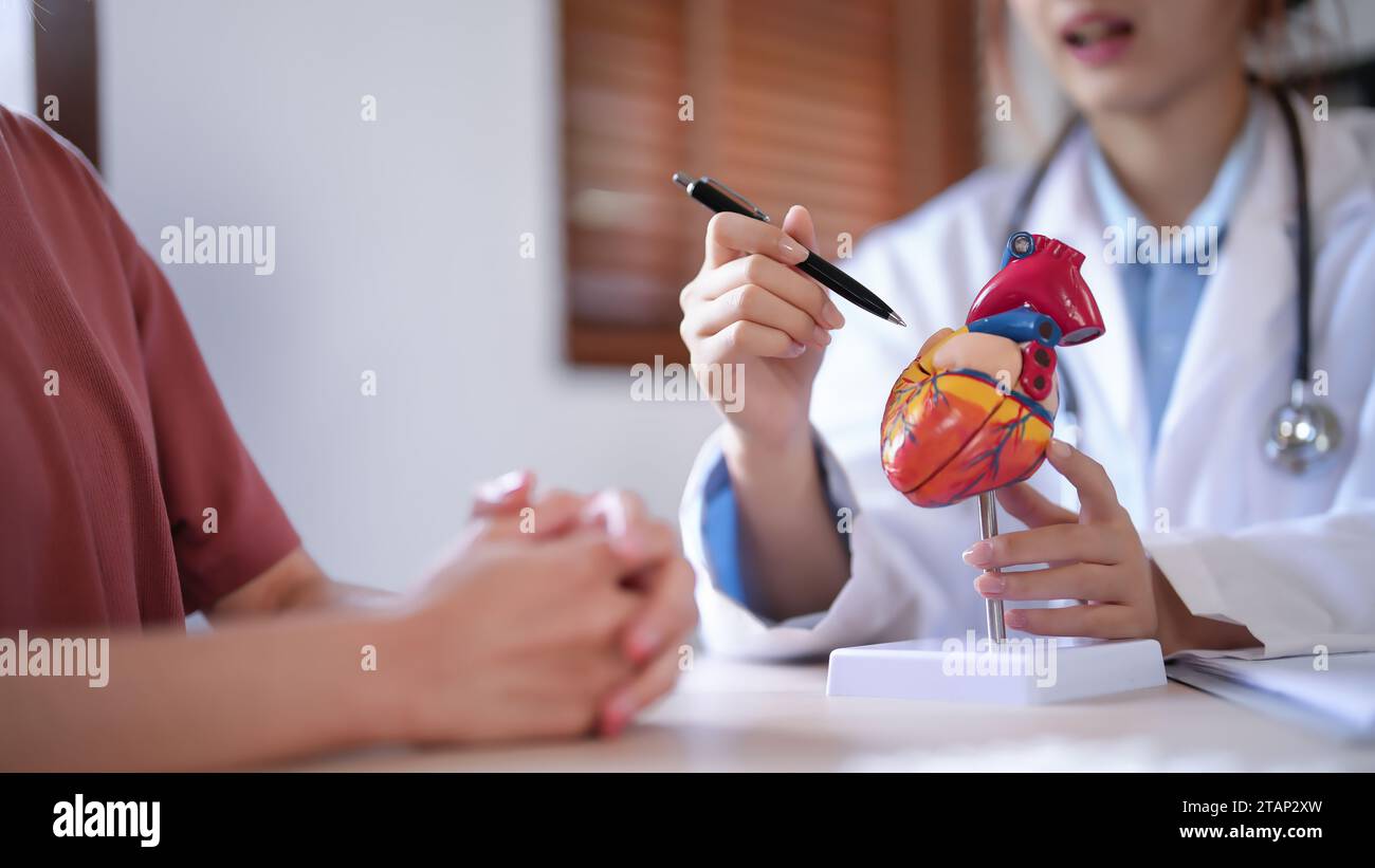 Asian cardiologist doctor women explaining about anatomical of human ...