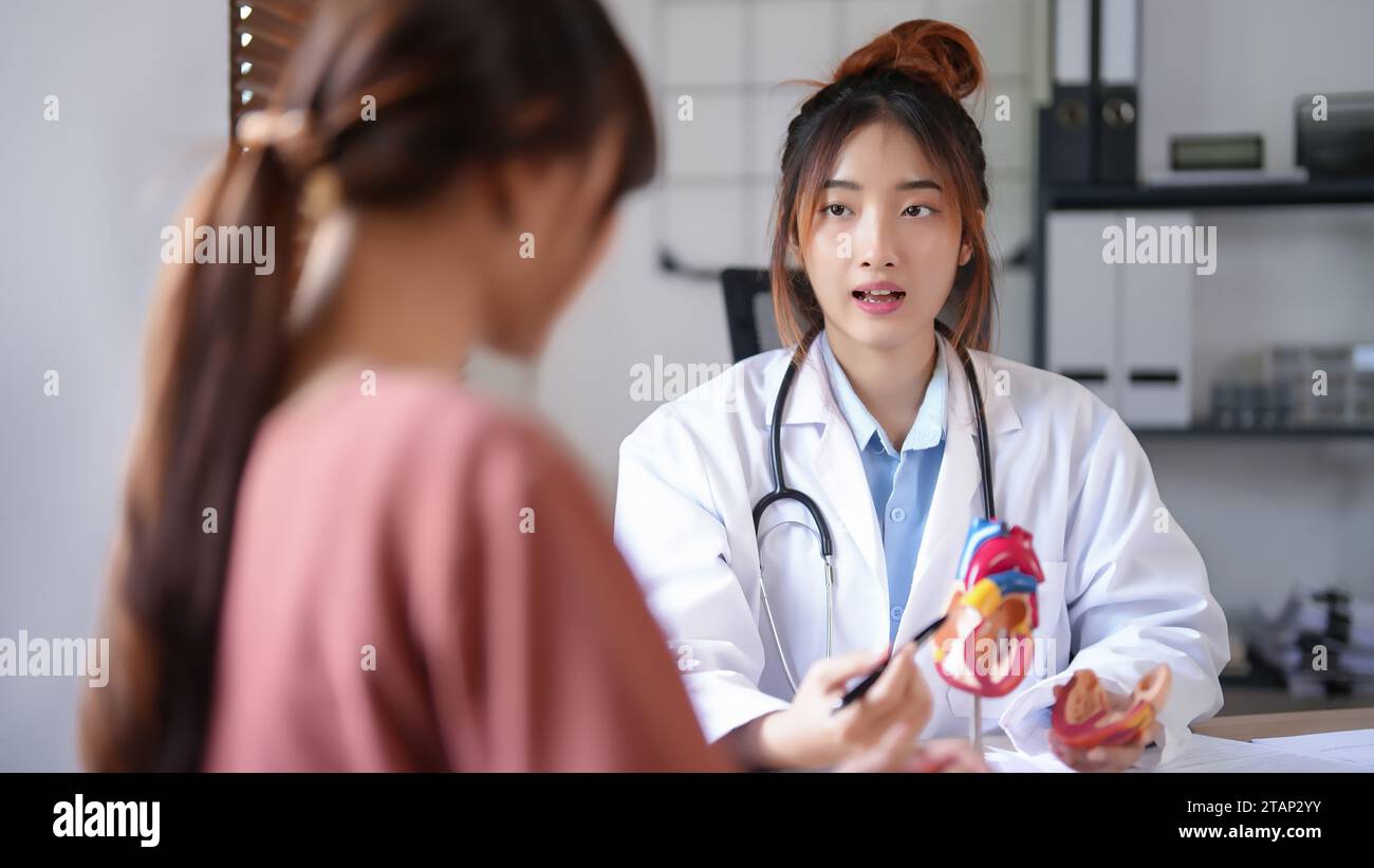 Asian cardiologist doctor women pointing on anatomical of human heart ...