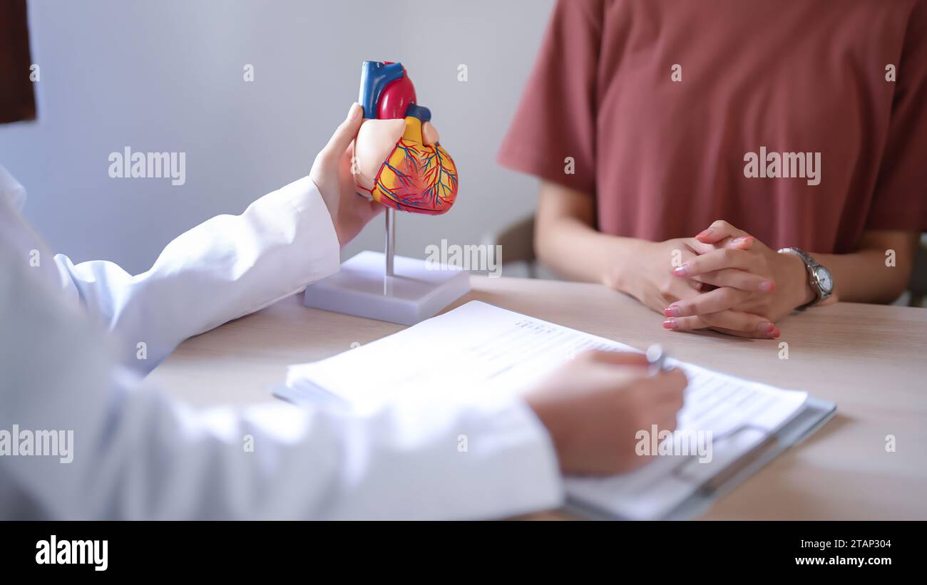 Asian cardiologist doctor women pointing on document and anatomical of ...