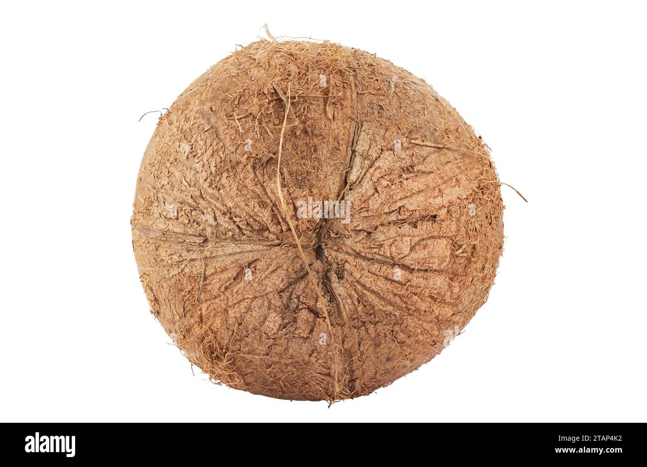 Whole coconut isolated on white background. Full depth of field. File ...