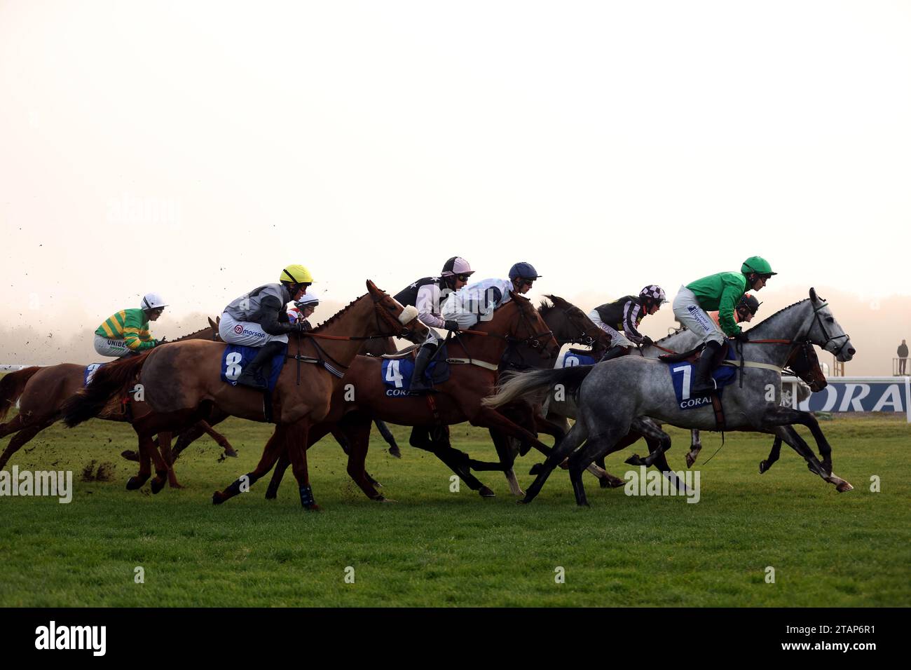 Runners and riders during the Bet In Race With Coral Intermediate ...